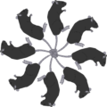Why Do Rats Tails Get Tangled? (“Rat King” Explained